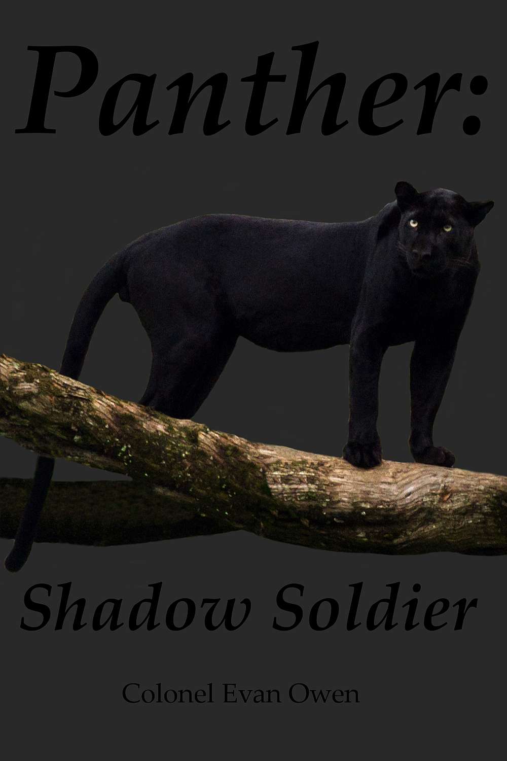 Action/Adventure Story: Keeping a Promise: Chapter 04 by Ernest Bywater