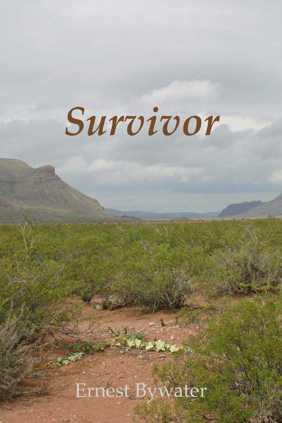 Survivor - Action/Adventure Story